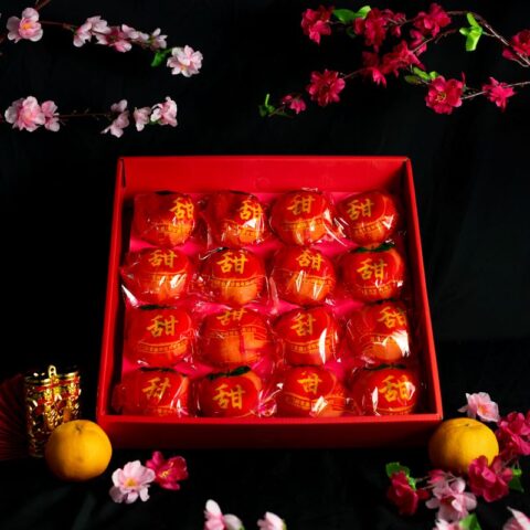 Mandarin Oranges (XL size | 16 pcs | Grade A) - JUNANDUS